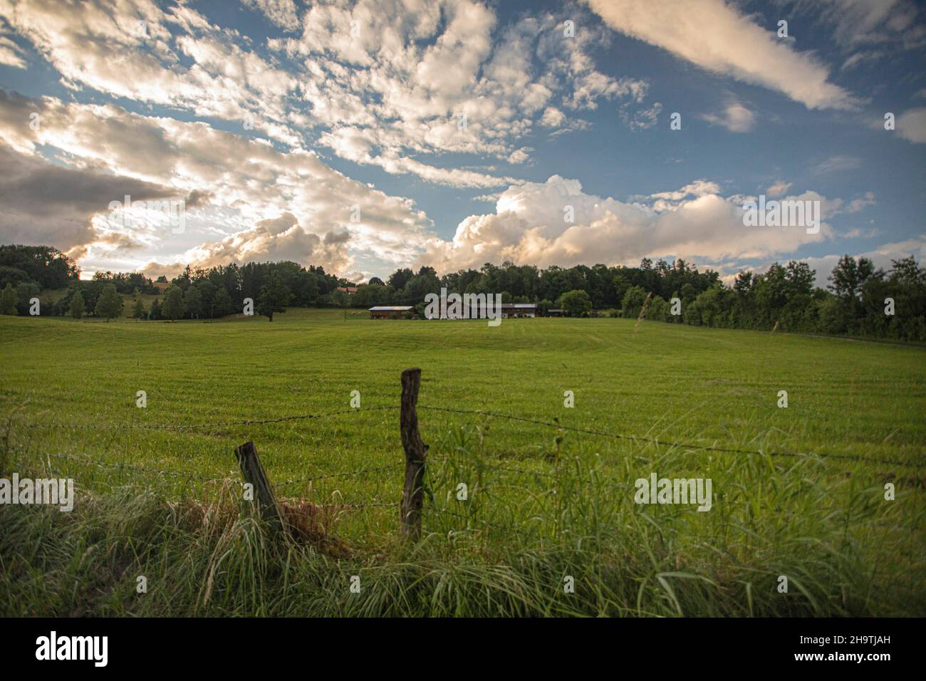 Evening mood at the Murnauer Moos, Germany, Bavaria, Oberbayern, Upper ...