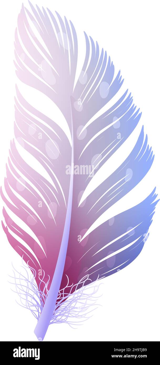 Colorful quill. Curved fluffy feather in tribal boho style isolated on ...