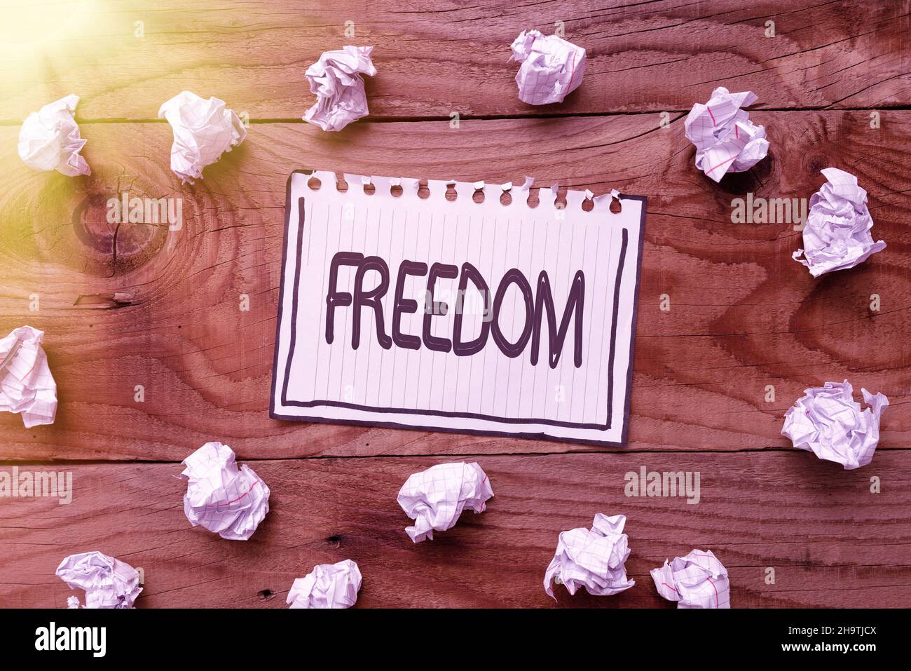 Sign displaying Freedom. Concept meaning liberty rather than in ...