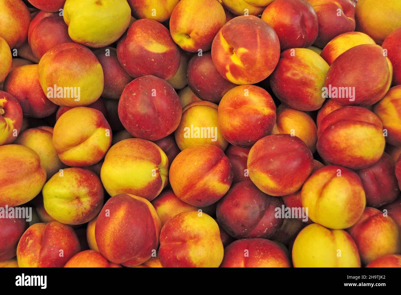 peach (Prunus persica), peaches at a market, Italy Stock Photo - Alamy