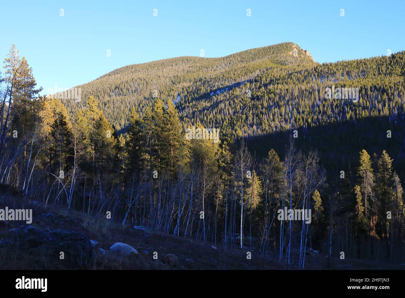 Green Colorado mountains Stock Photo - Alamy