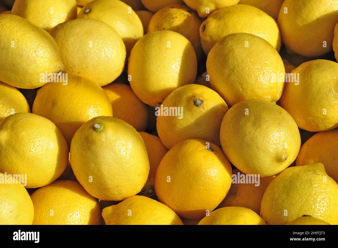 Citrus a limon hi-res stock photography and images - Alamy