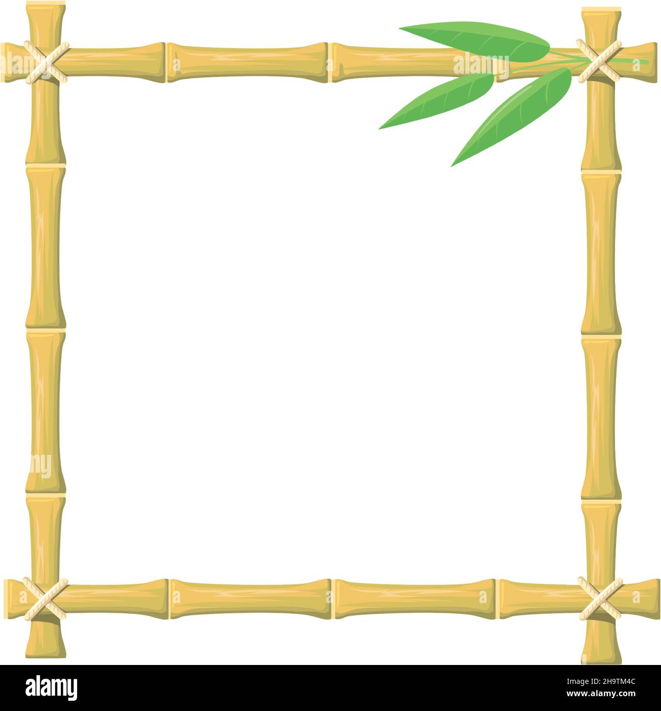 Square Bamboo frame. Blank pattern for summer single, vector object ...