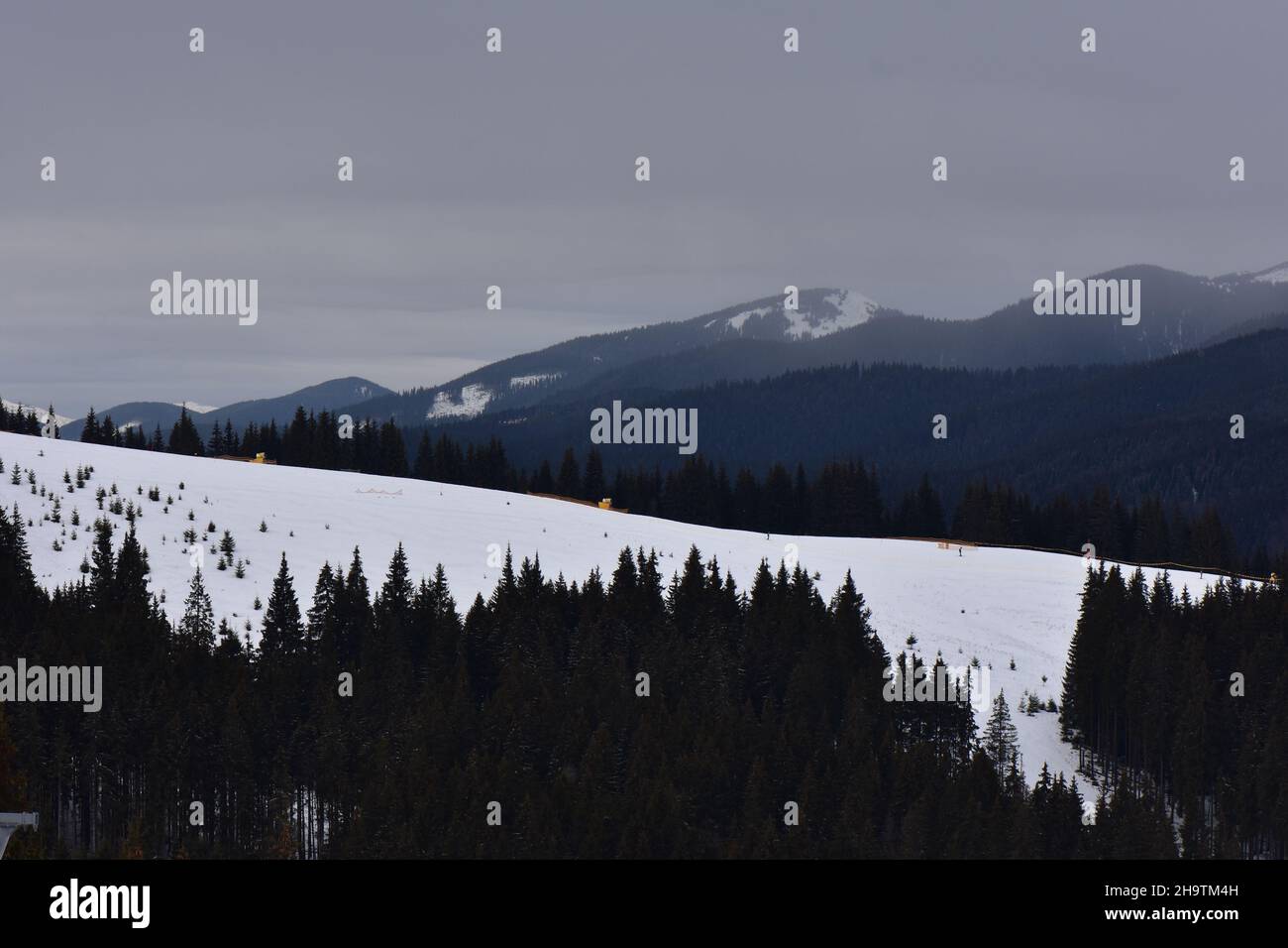 Fascinating winter landscape of mountains with snow and pine trees ...