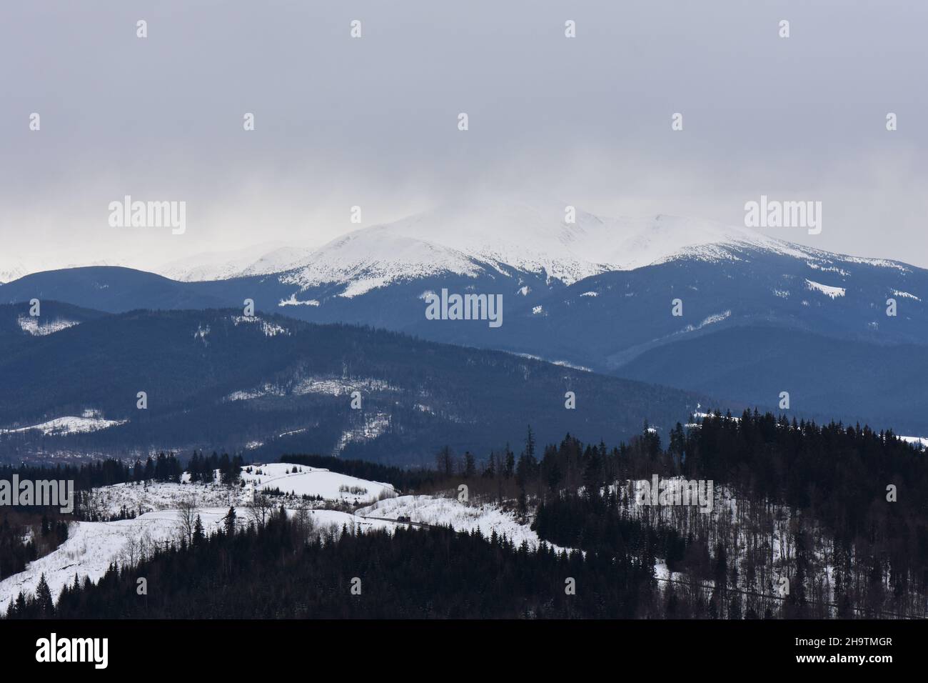 Fascinating winter landscape of mountains with snow and pine trees ...
