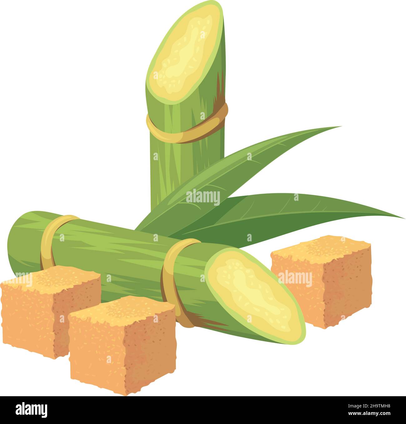 Healthy sugarcane plants hi-res stock photography and images - Alamy