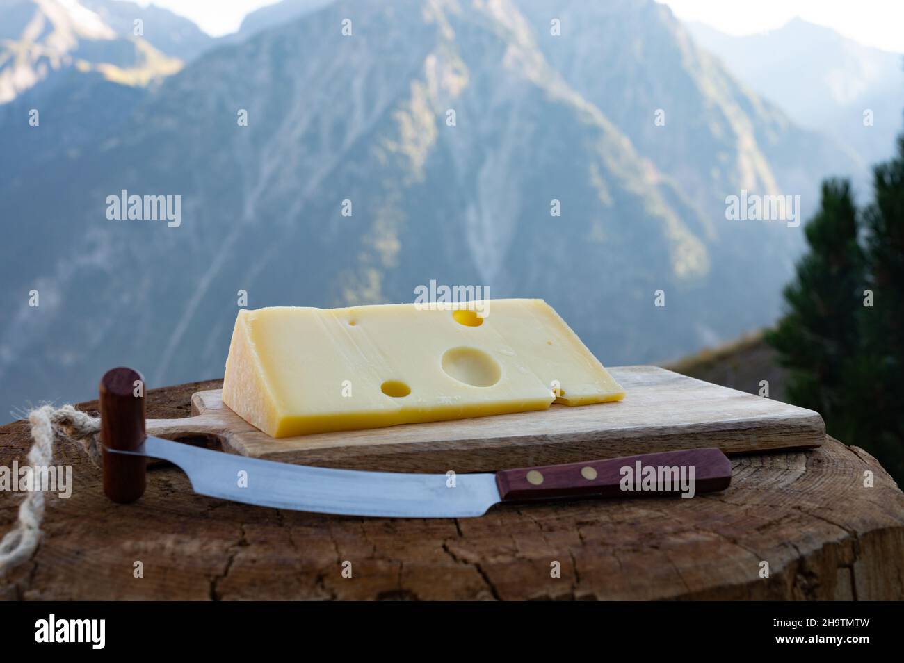 Cheese collection, French emmental de savoie cheese with round holes ...