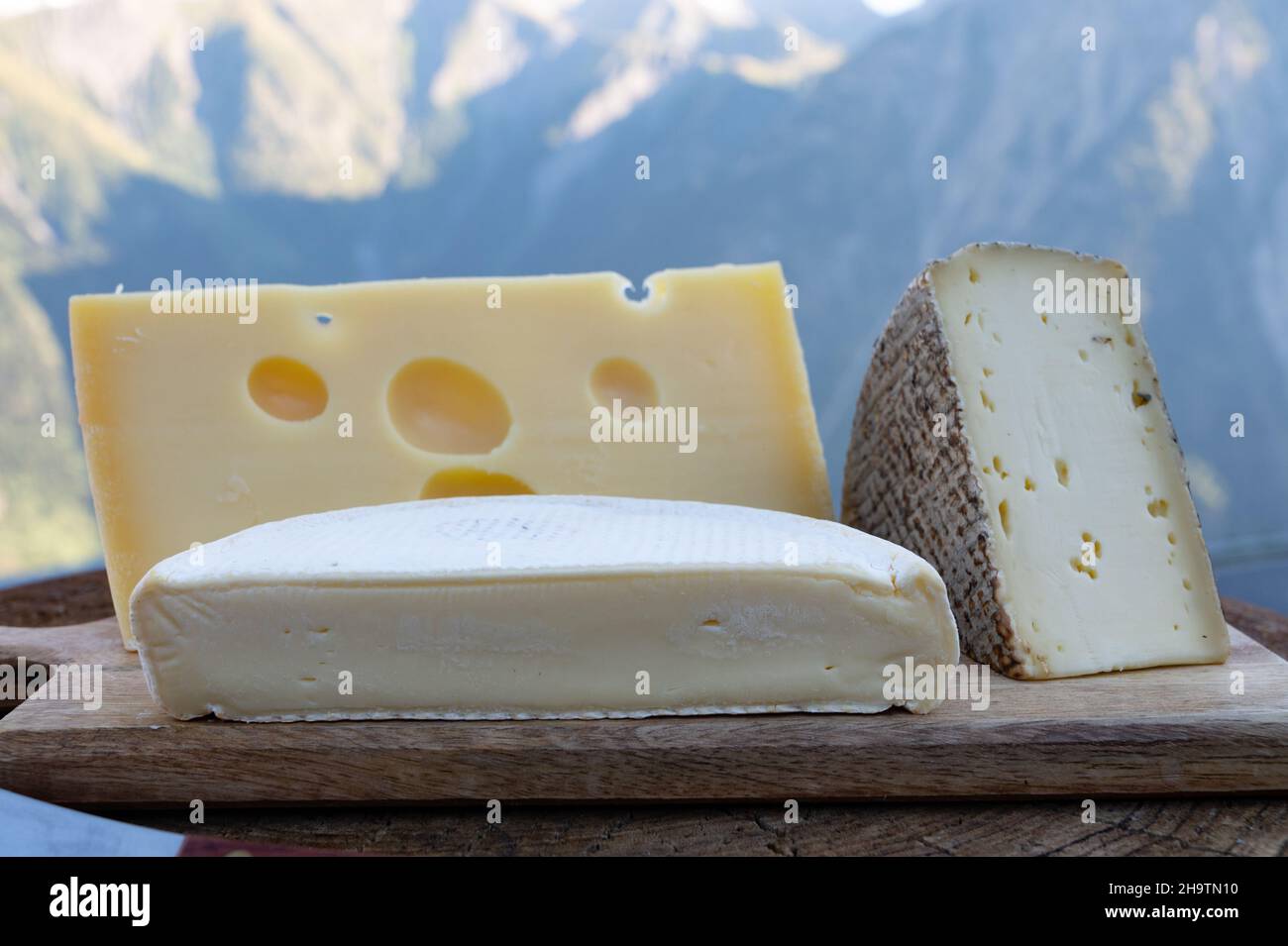 Cheese collection, French emmental, tomme and reblochon de savoie ...