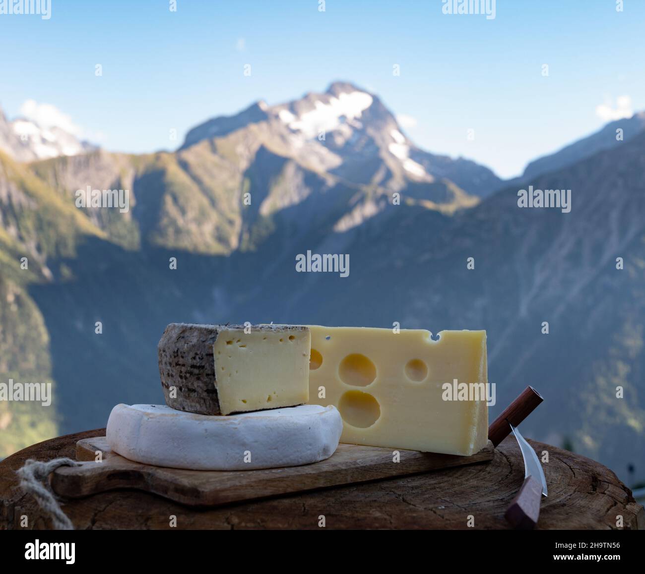 Cheese collection, French emmental, tomme and reblochon de savoie ...