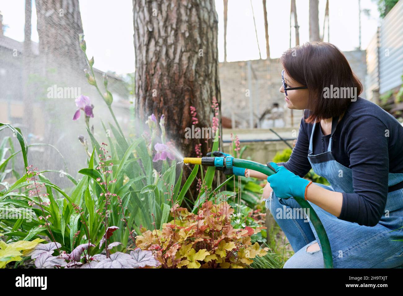 Woman watering plants in a flower bed in the backyard using a hose ...