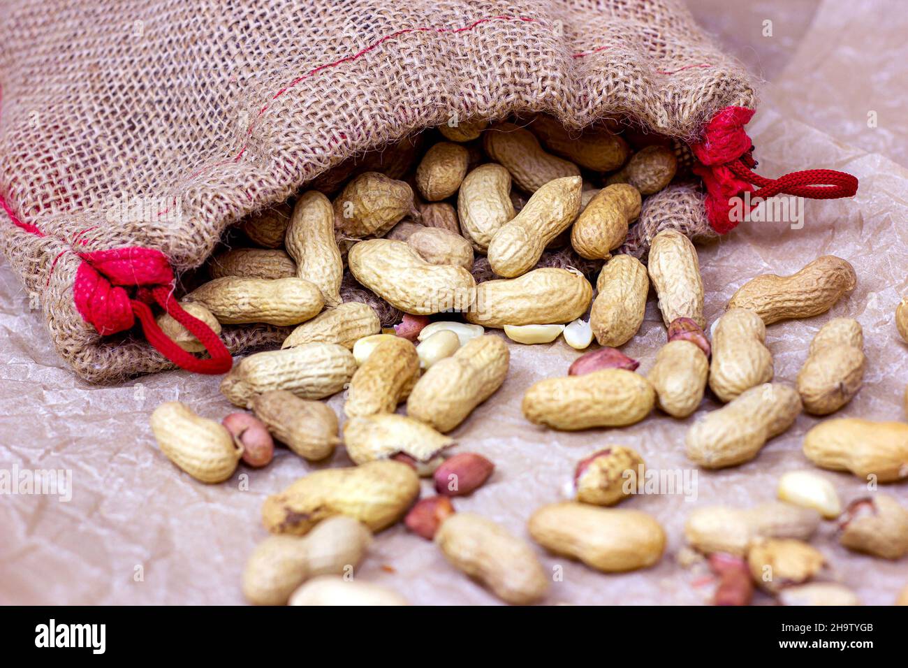 Raw unpeeled peanut nuts in nutshell on light beige textile bag ...