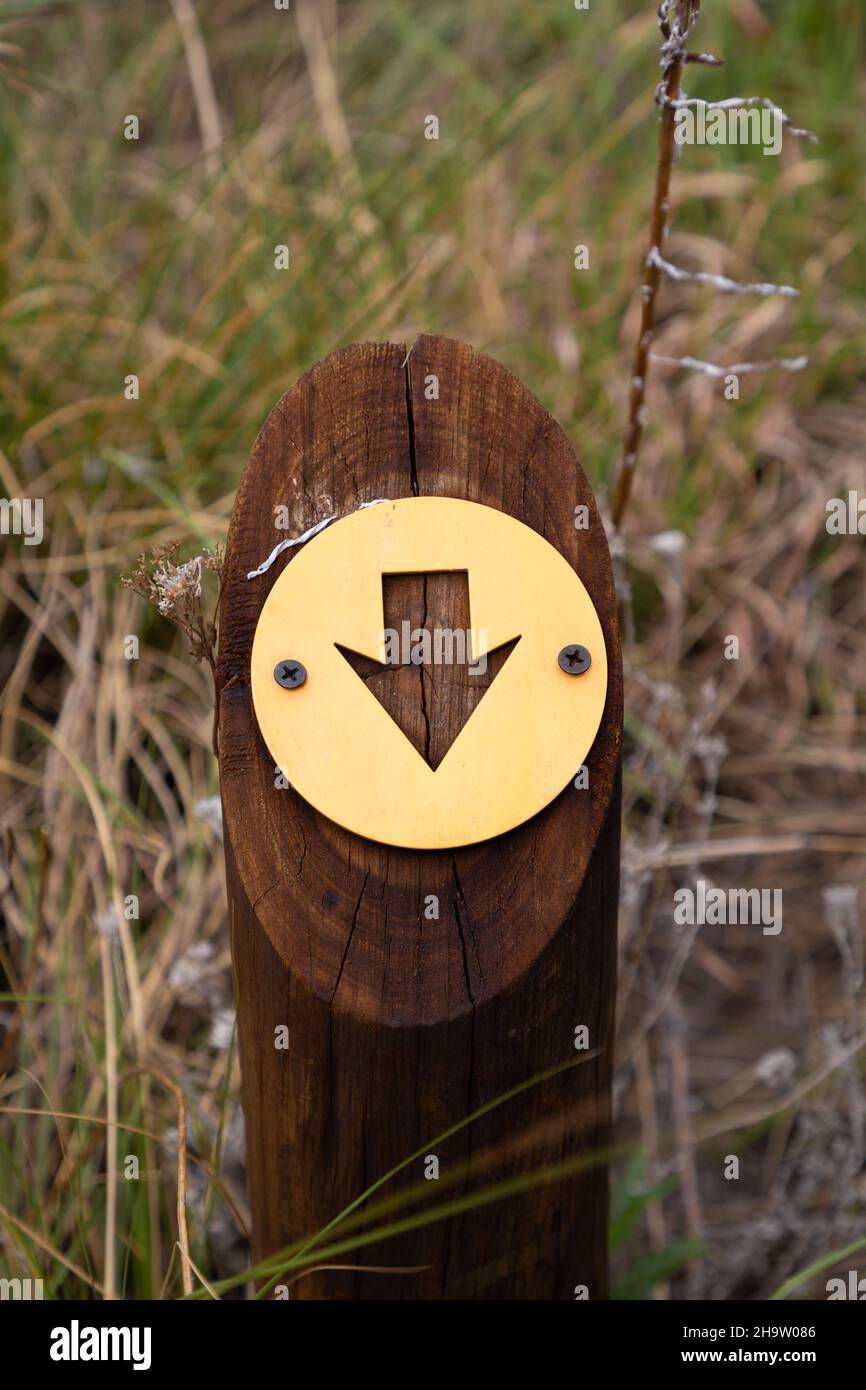 Yellow arrow mounted on a wooden pole. The arrow is pointing down Stock ...
