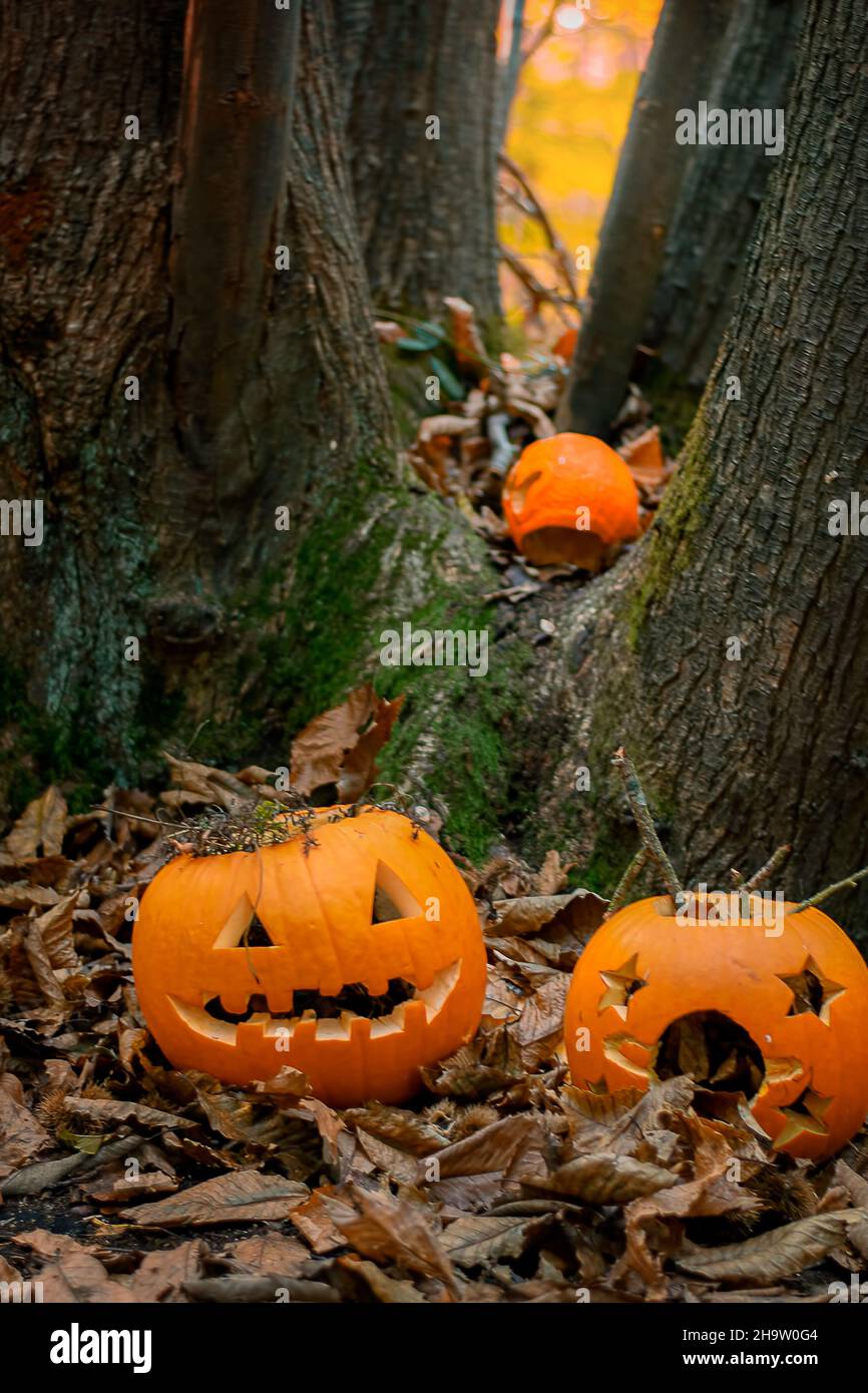 Carved woods hi-res stock photography and images - Alamy
