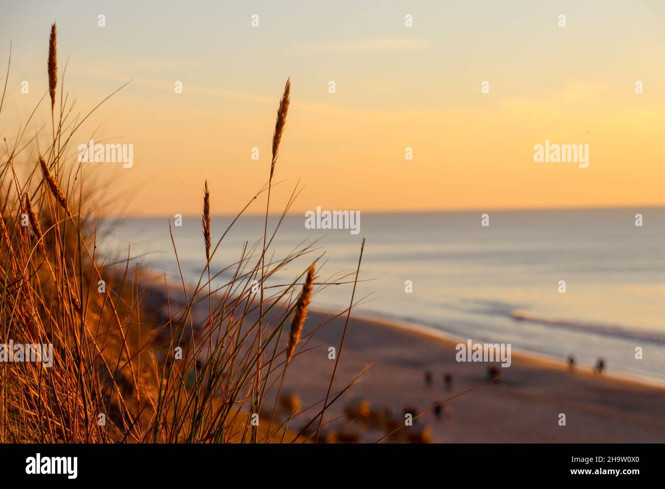 Sylt - a beautiful island in Germany Stock Photo - Alamy