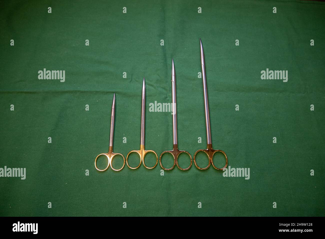 Surgical scissors of different sizes lie side by side on a green base ...