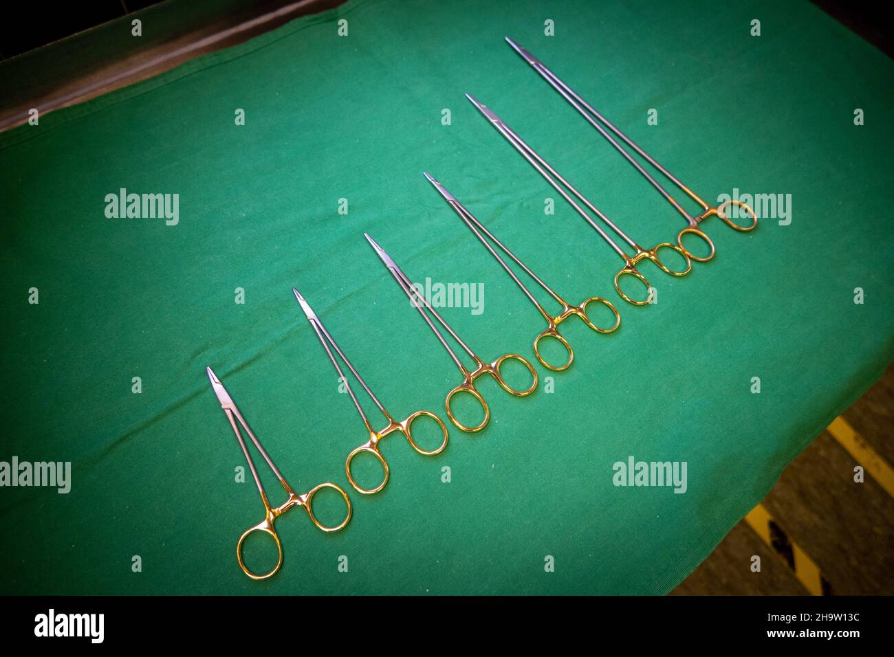 Surgical needle holders of different sizes lie next to each other on a ...
