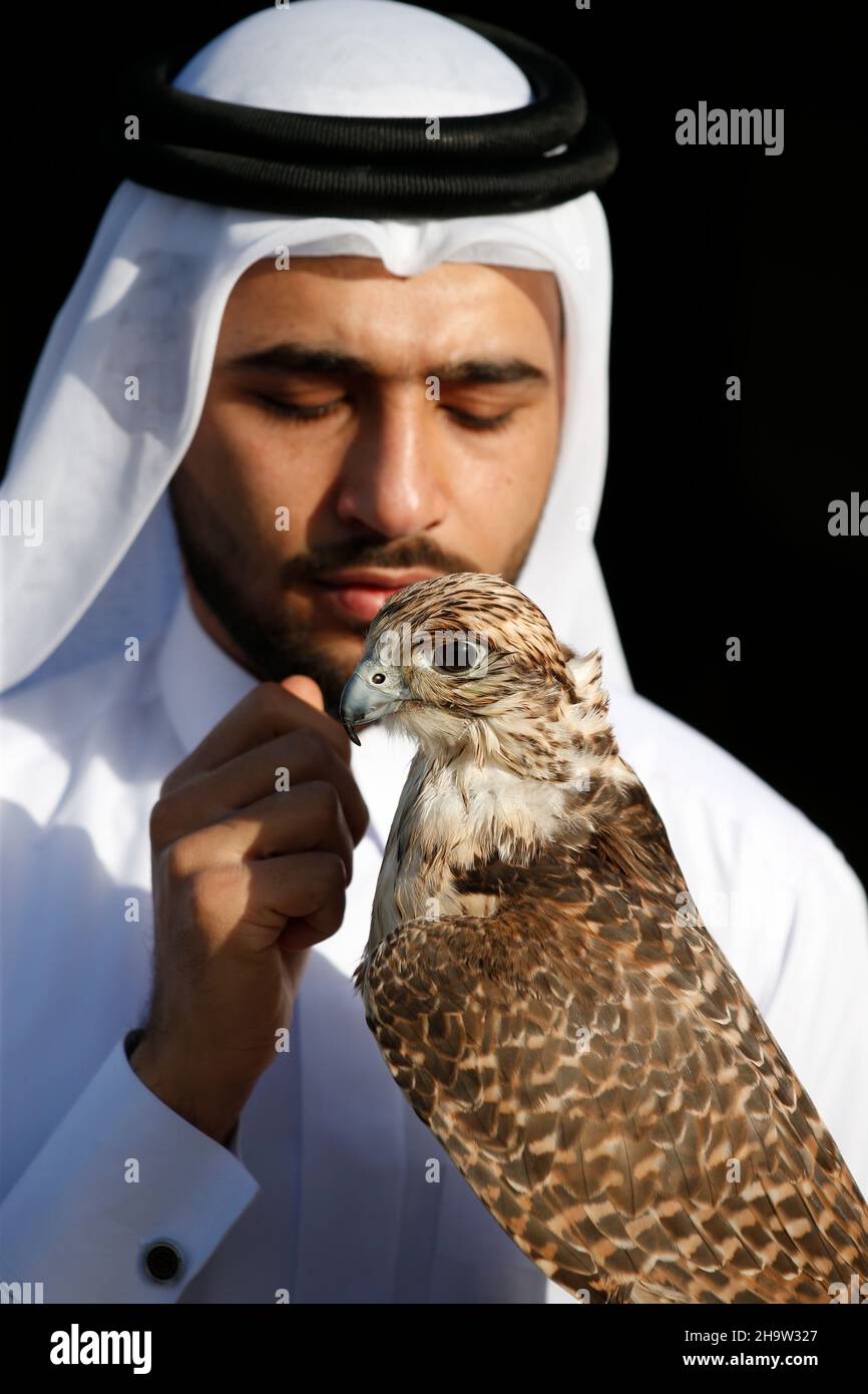 Qatar fauna hi-res stock photography and images - Alamy