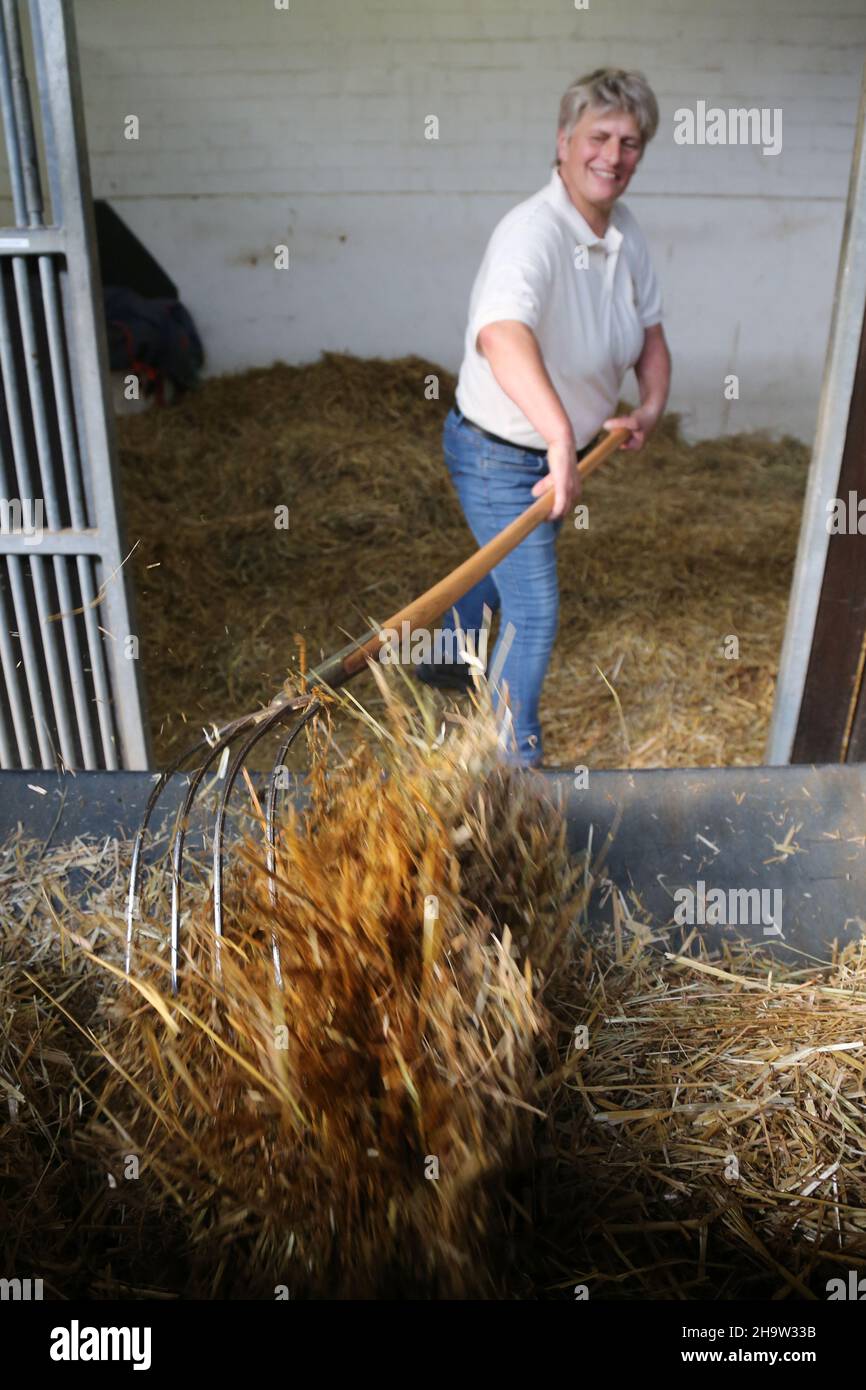 Mucking out hi-res stock photography and images - Alamy