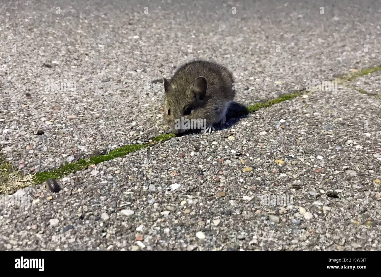 27 07 2021 hi-res stock photography and images - Alamy