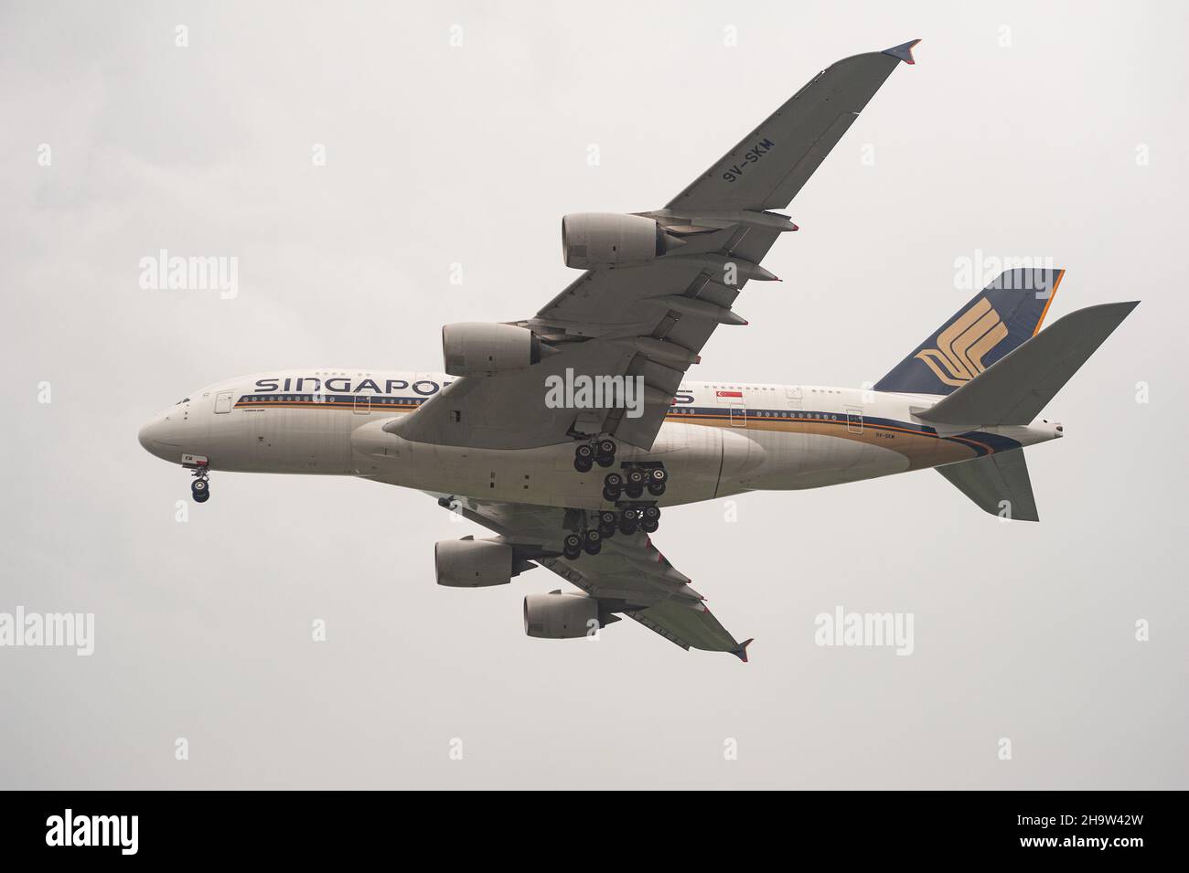 "08.11.2021, Singapore, , Singapore - A Singapore Airlines (SIA) Airbus ...