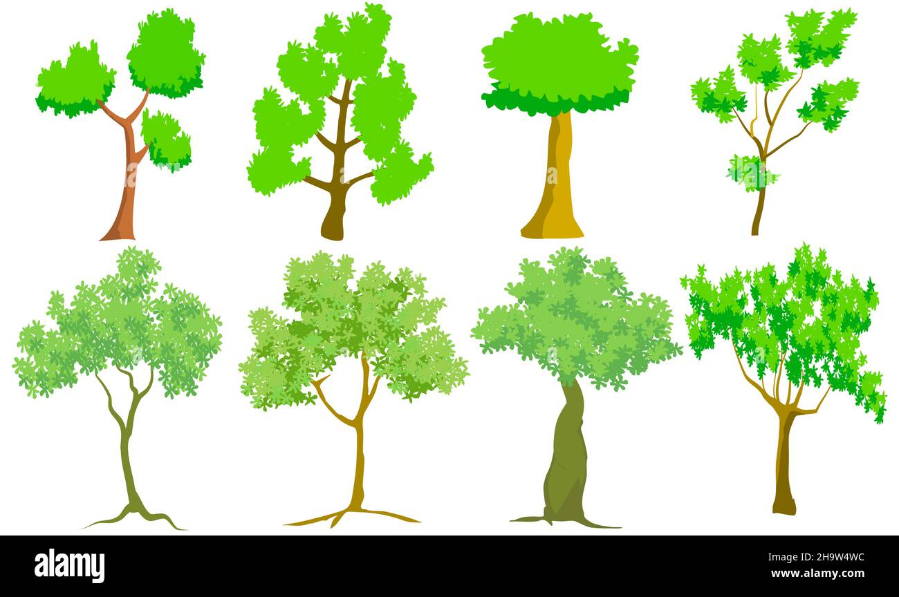vector trees isolated on white background Stock Vector Image & Art - Alamy