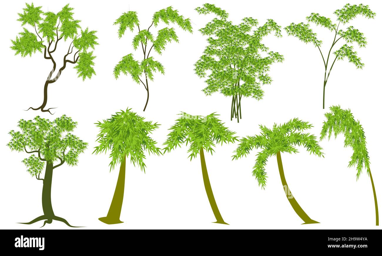 Trees vector vectors hi-res stock photography and images - Alamy