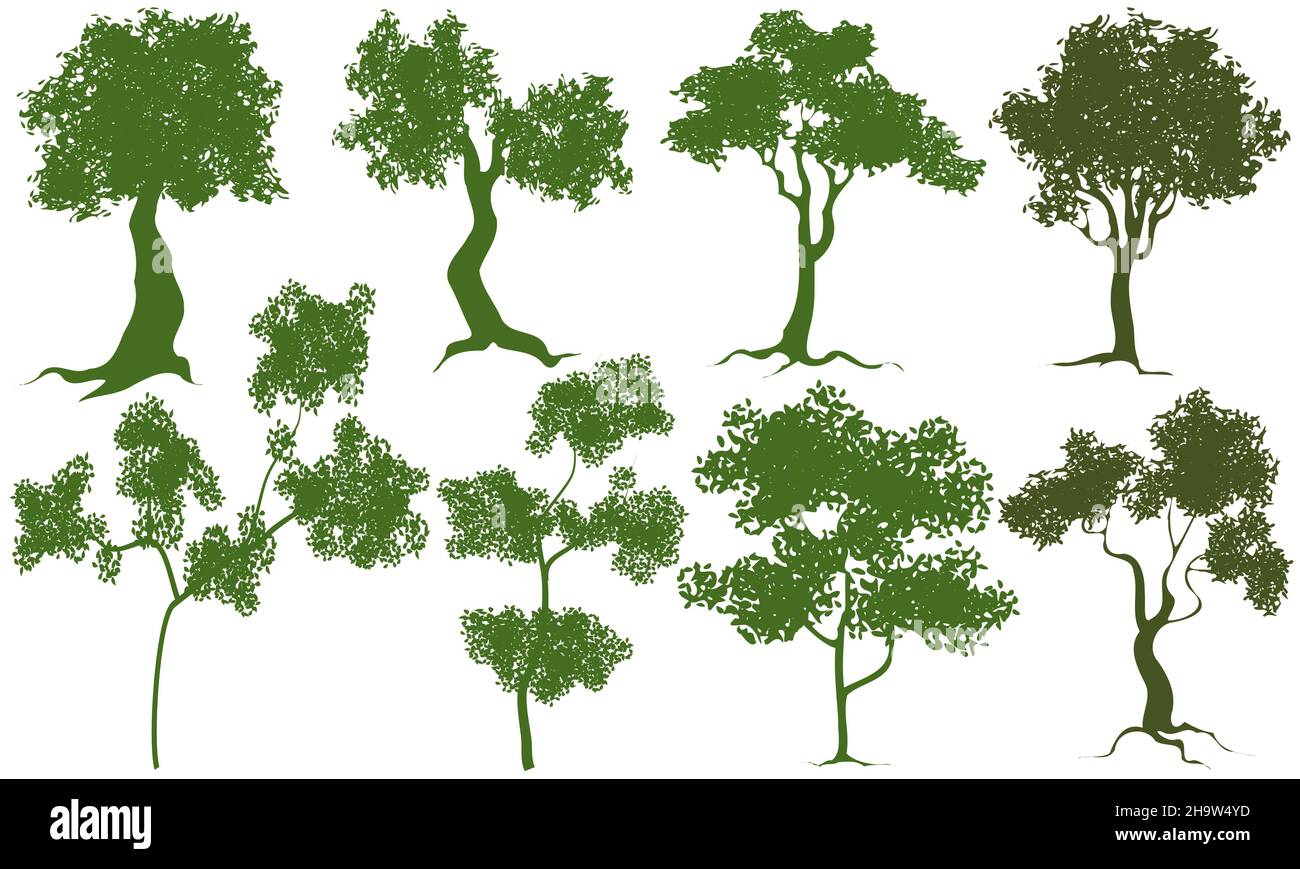 vector trees isolated on white background Stock Vector Image & Art - Alamy