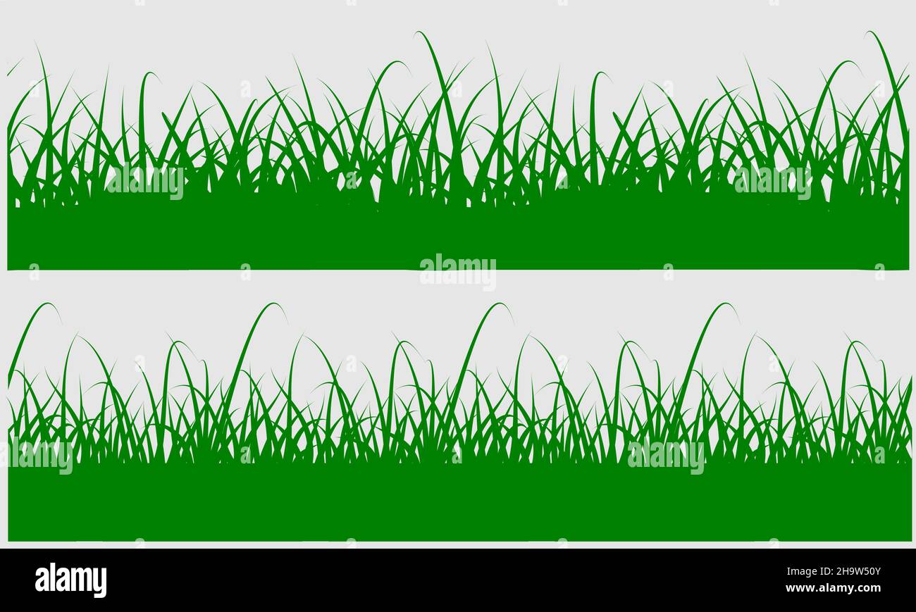 vector grass isolated on white background Stock Vector Image & Art - Alamy