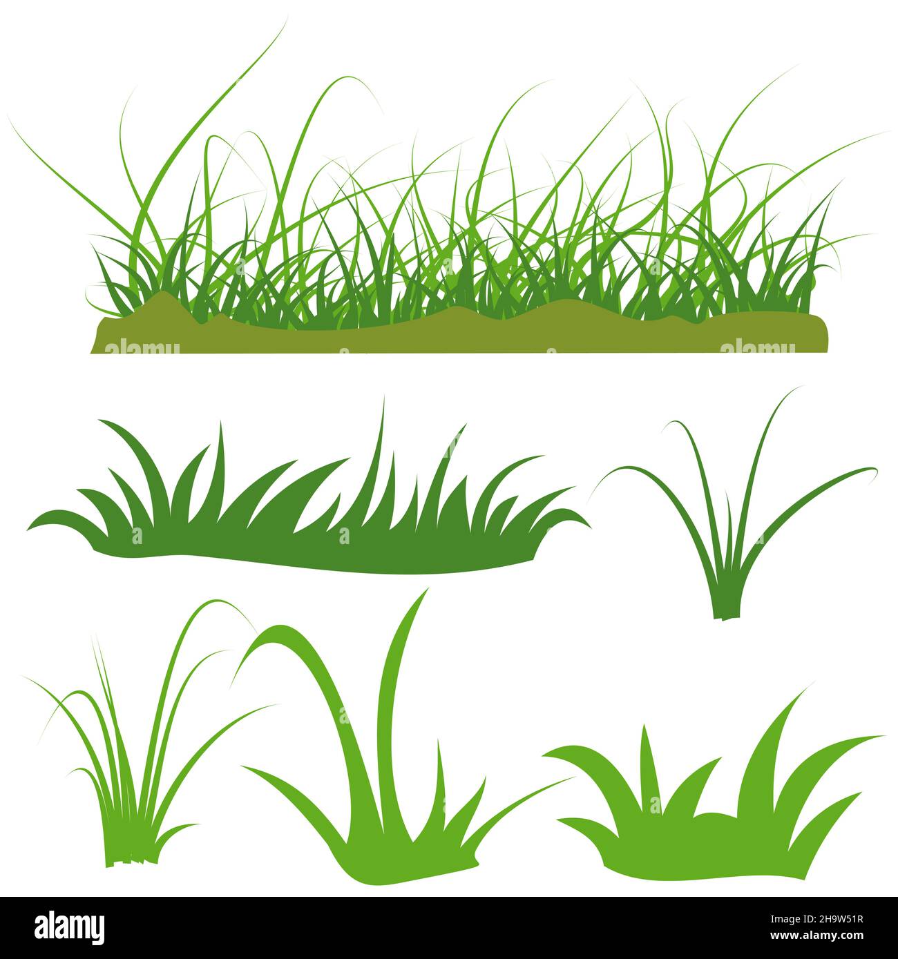 vector grass isolated on white background Stock Vector Image & Art - Alamy