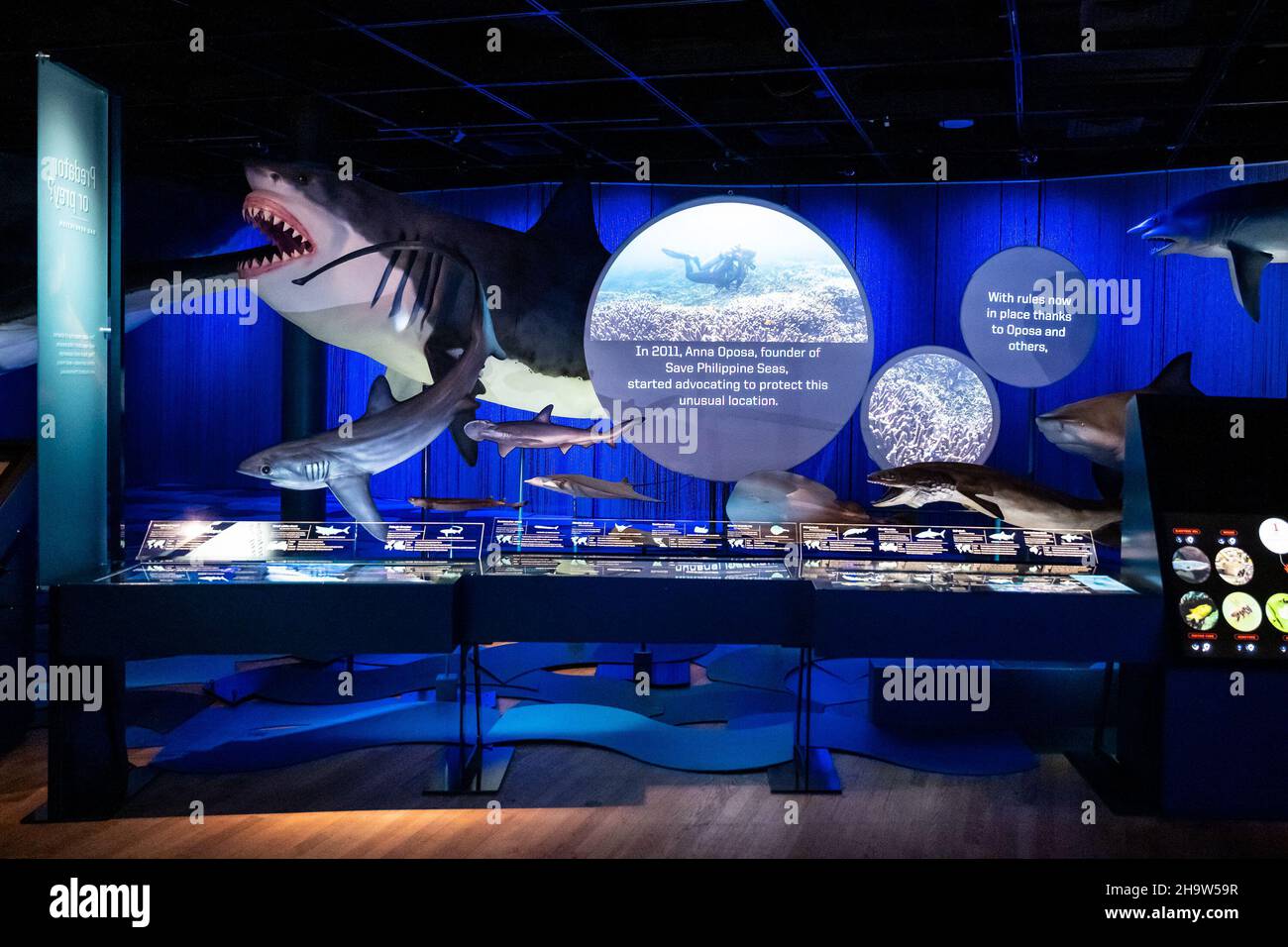 New York, USA. 08th Dec, 2021. The new Shark exhibit brings visitors ...