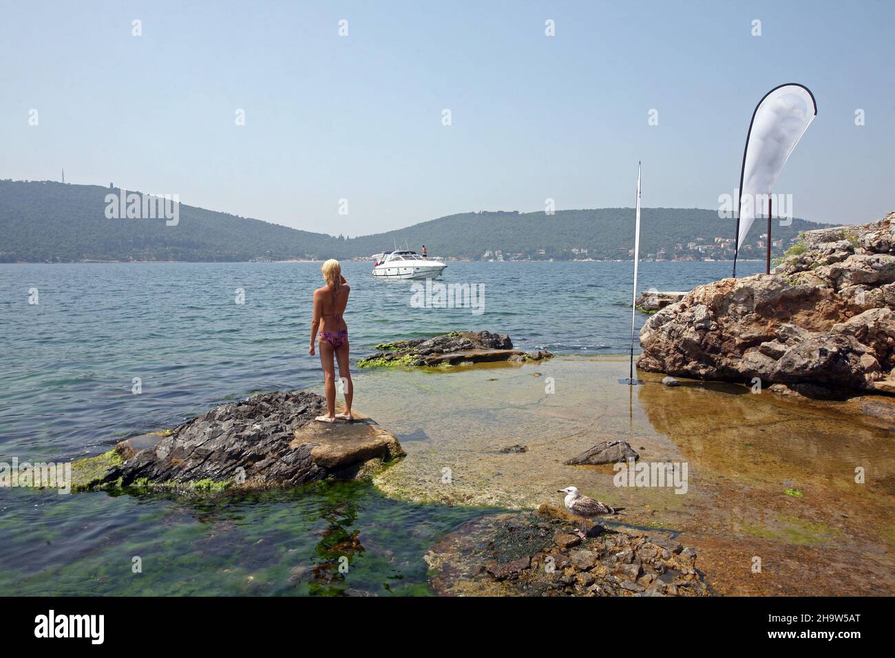 Istanbul Prince Island Sedef (Turkish: Sedef Adasi) Coastline in ...