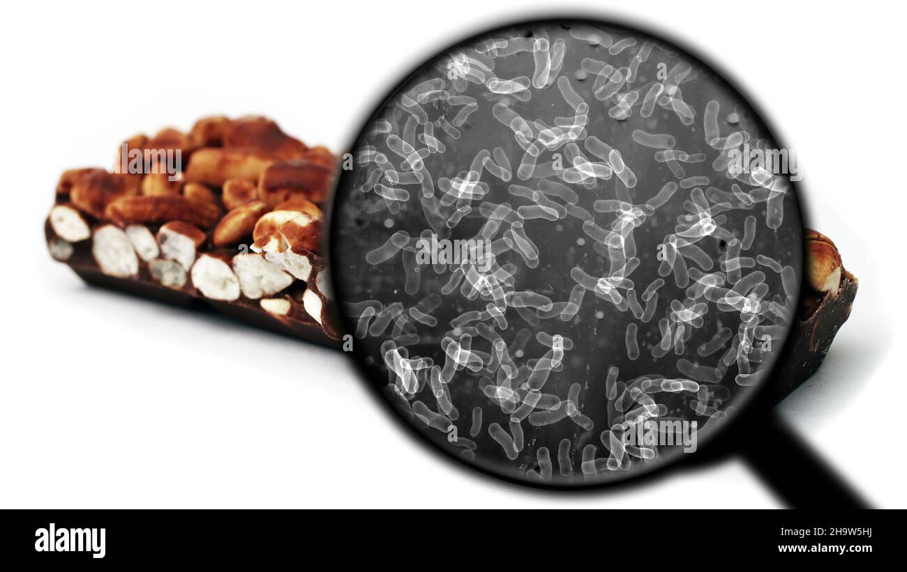 Searching for bacteria in sweets Stock Photo - Alamy