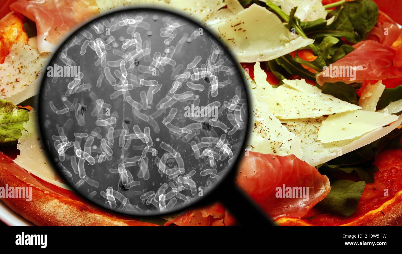 Searching For Bacteria In food Stock Photo - Alamy