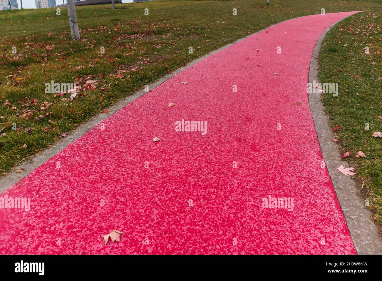 pink track background pattern direction jogging road lawn .concept ...