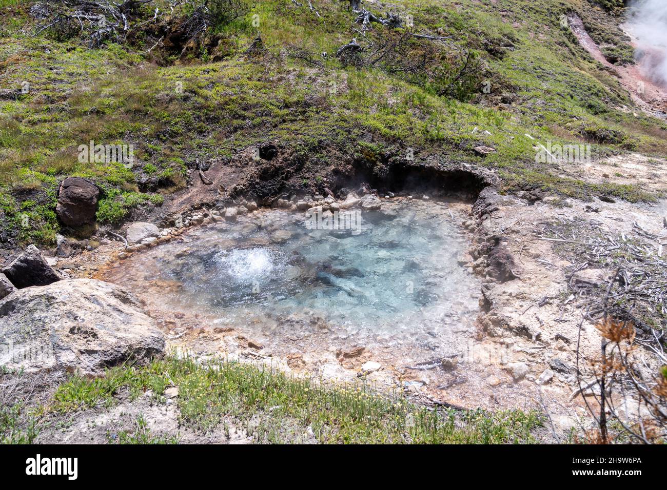 Bubbling hot spring geyser in the Artists Paint Pots area of ...