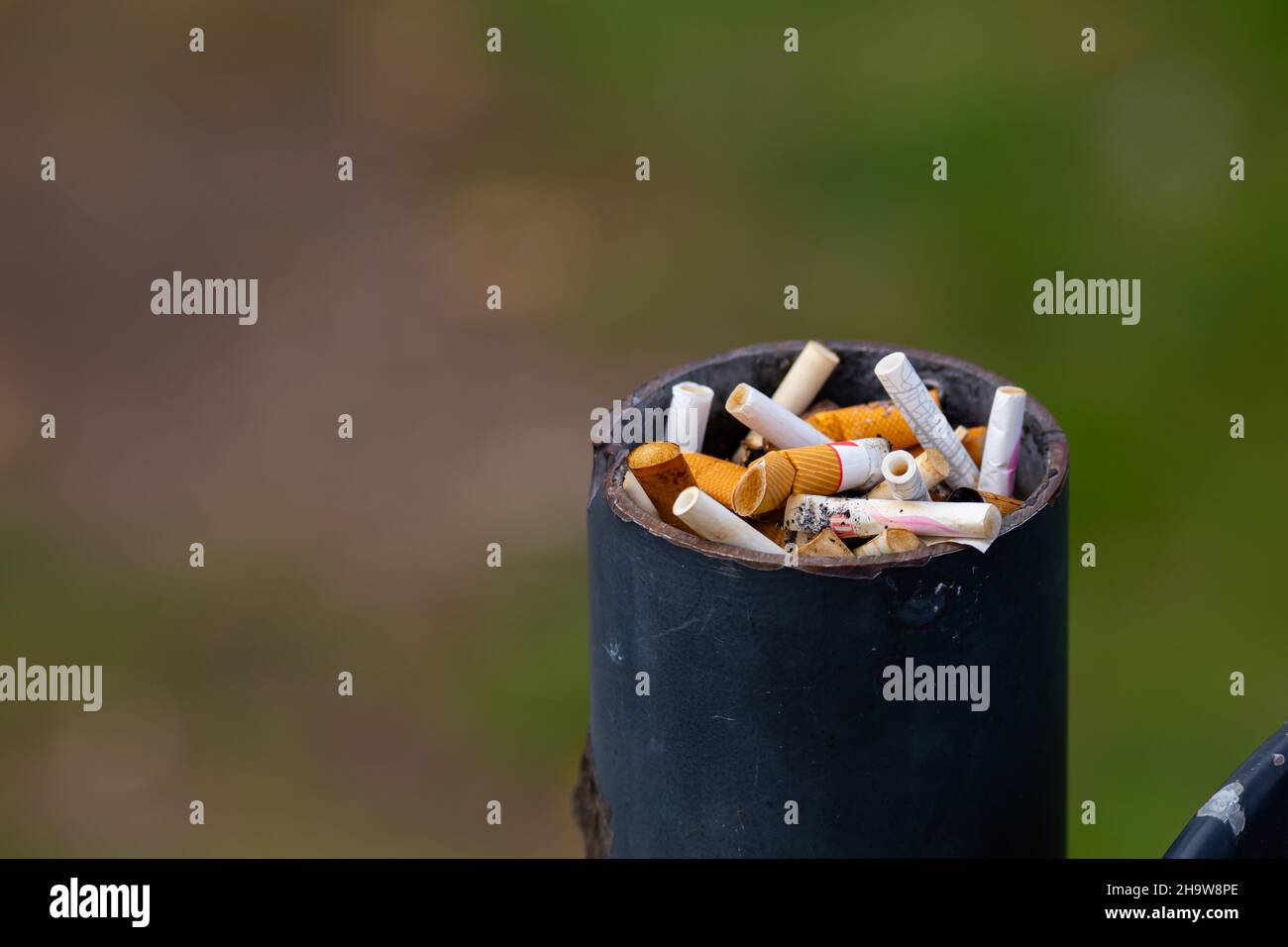 Lots of cigarette stubs crammed into the trash can post. The main ...