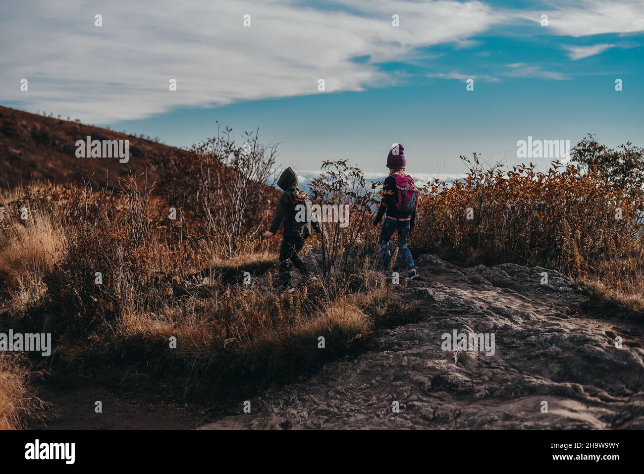 Wind through flowers hi-res stock photography and images - Alamy