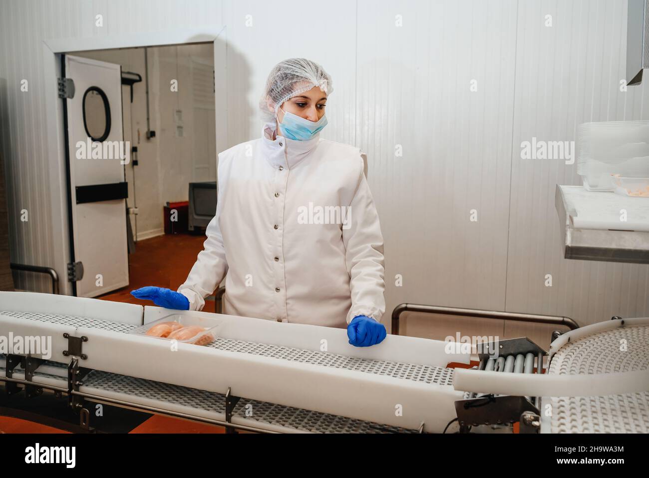 Modern poultry processing plant.Factory for the production of food from ...