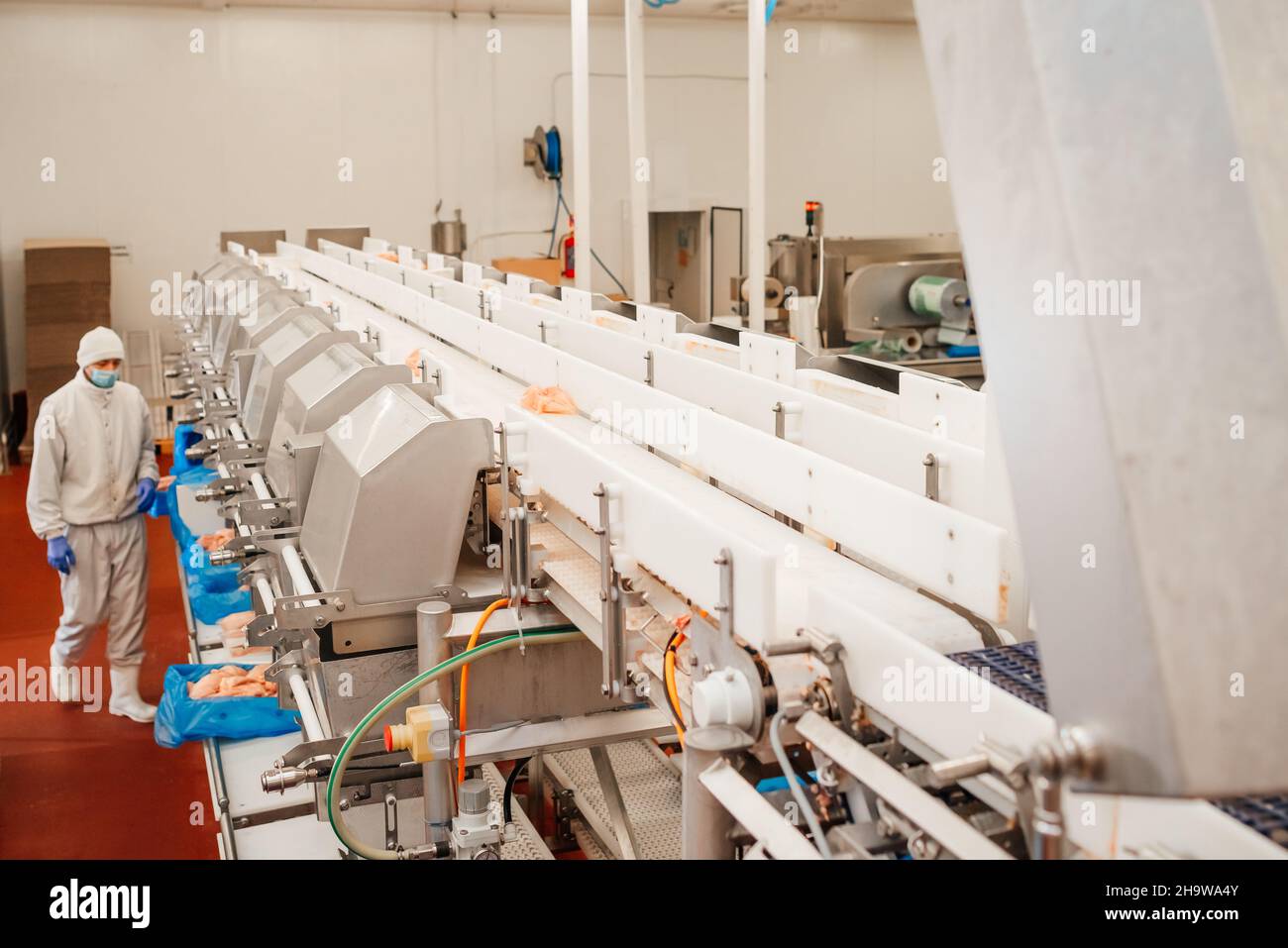 Meat processing plant.Industrial equipment at a meat factory.Modern ...