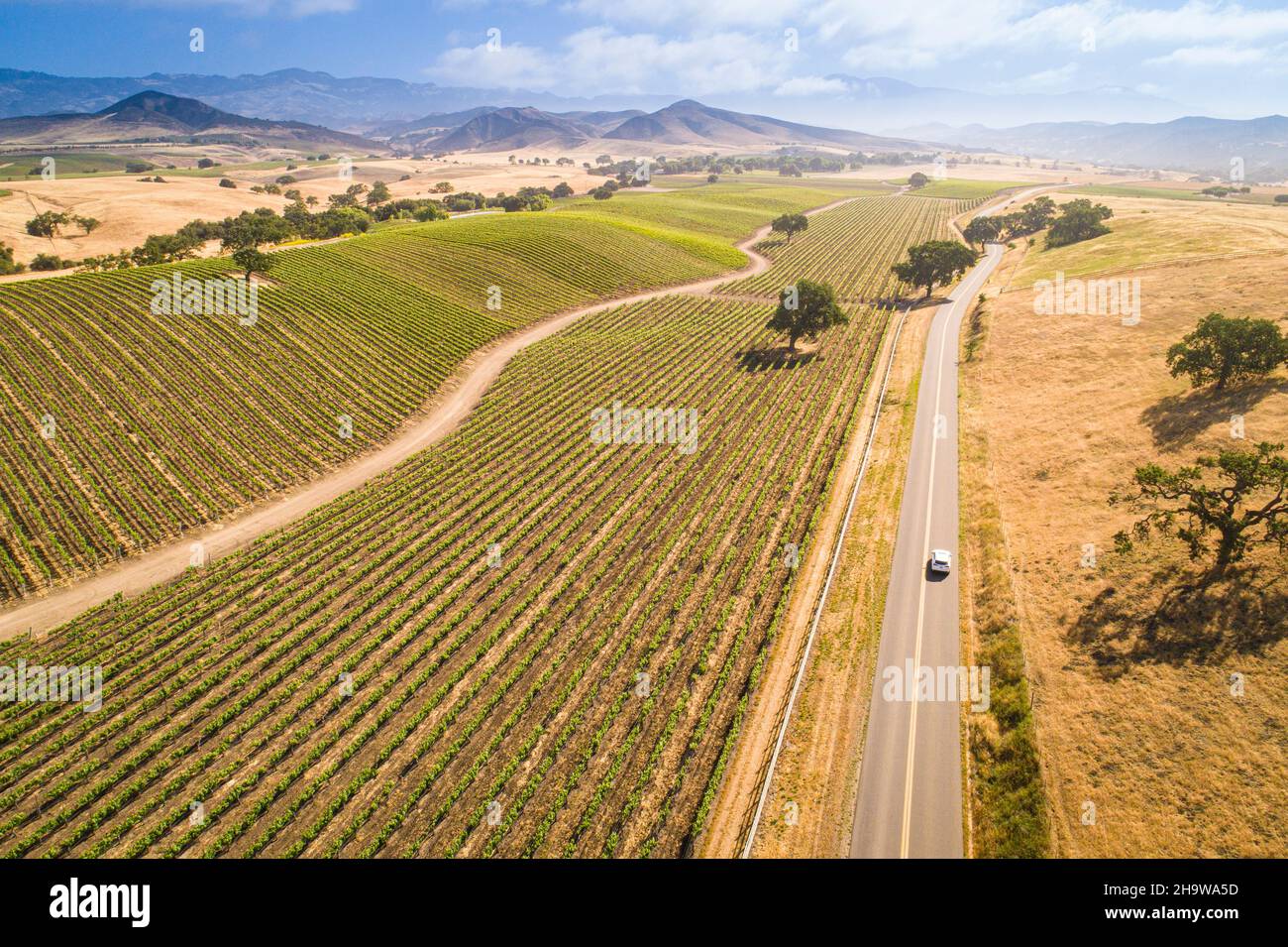 aerial view of vineyards along Happy Canyon Road in the Santa Ynez ...