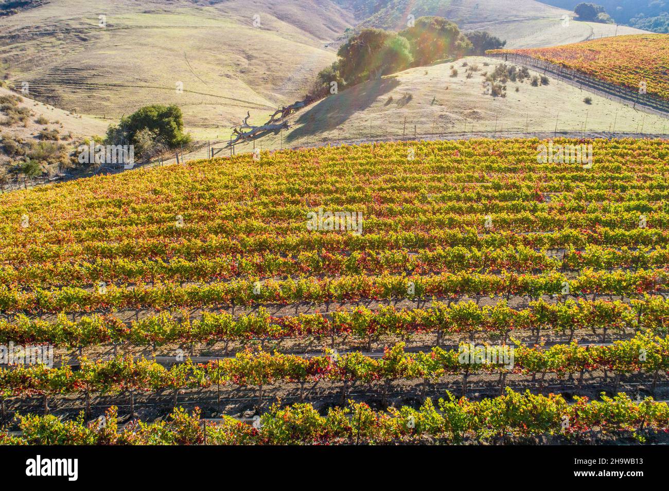 Santa rosa aerial hi-res stock photography and images - Alamy