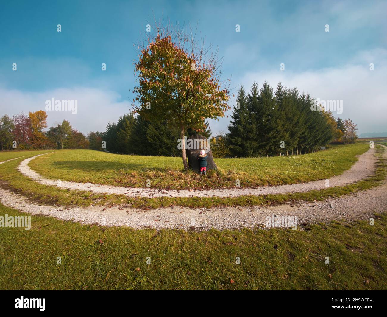 Circular turning trail around a tree on a field Stock Photo - Alamy