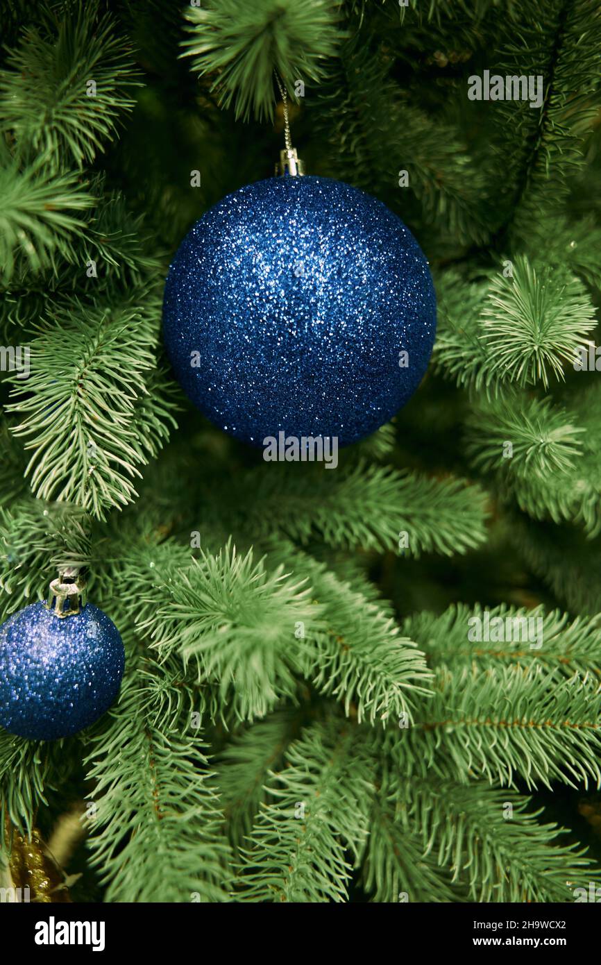 Photo of the year hi-res stock photography and images - Alamy