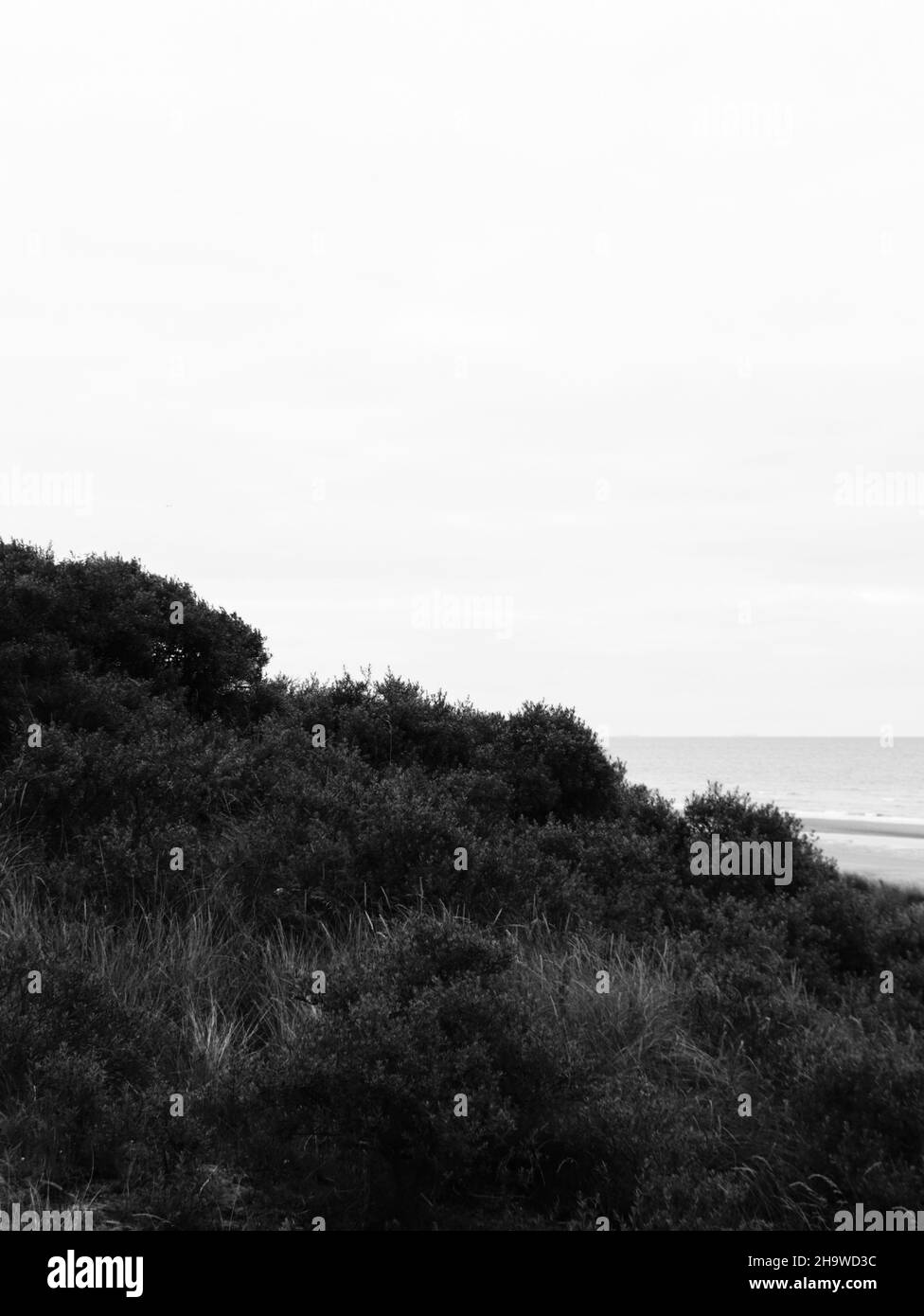 Vertical grayscale shot of a hill near the sea Stock Photo - Alamy