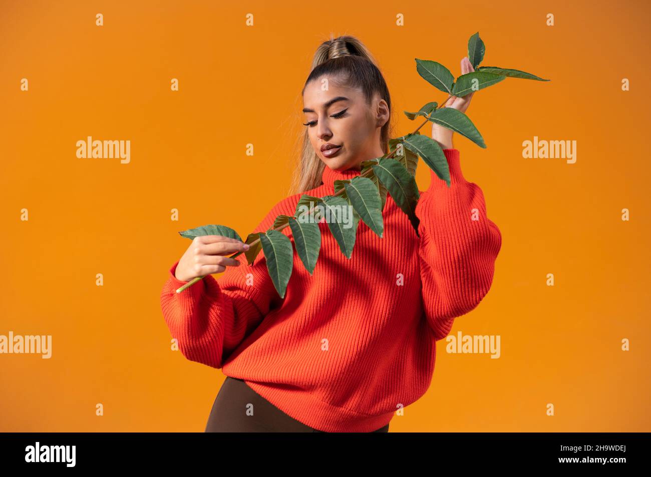 Fancy Spanish girl holding a green plant is posing in the orange ...