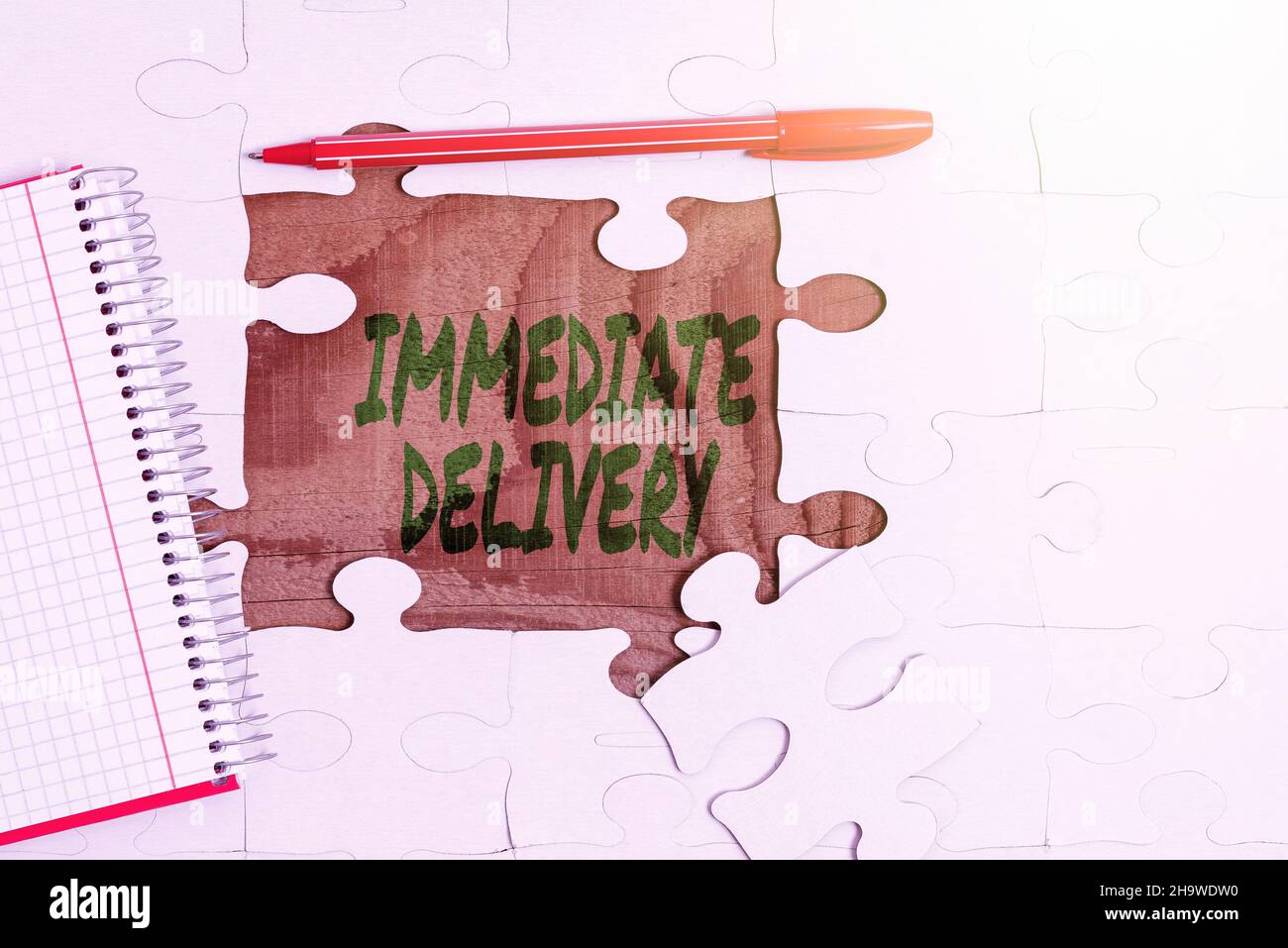 Text showing inspiration Immediate Delivery. Business overview Send it ...