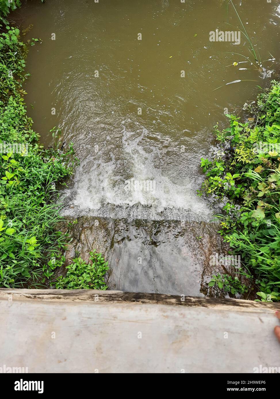 Top view of a small amount of force water flowing from pond or small ...