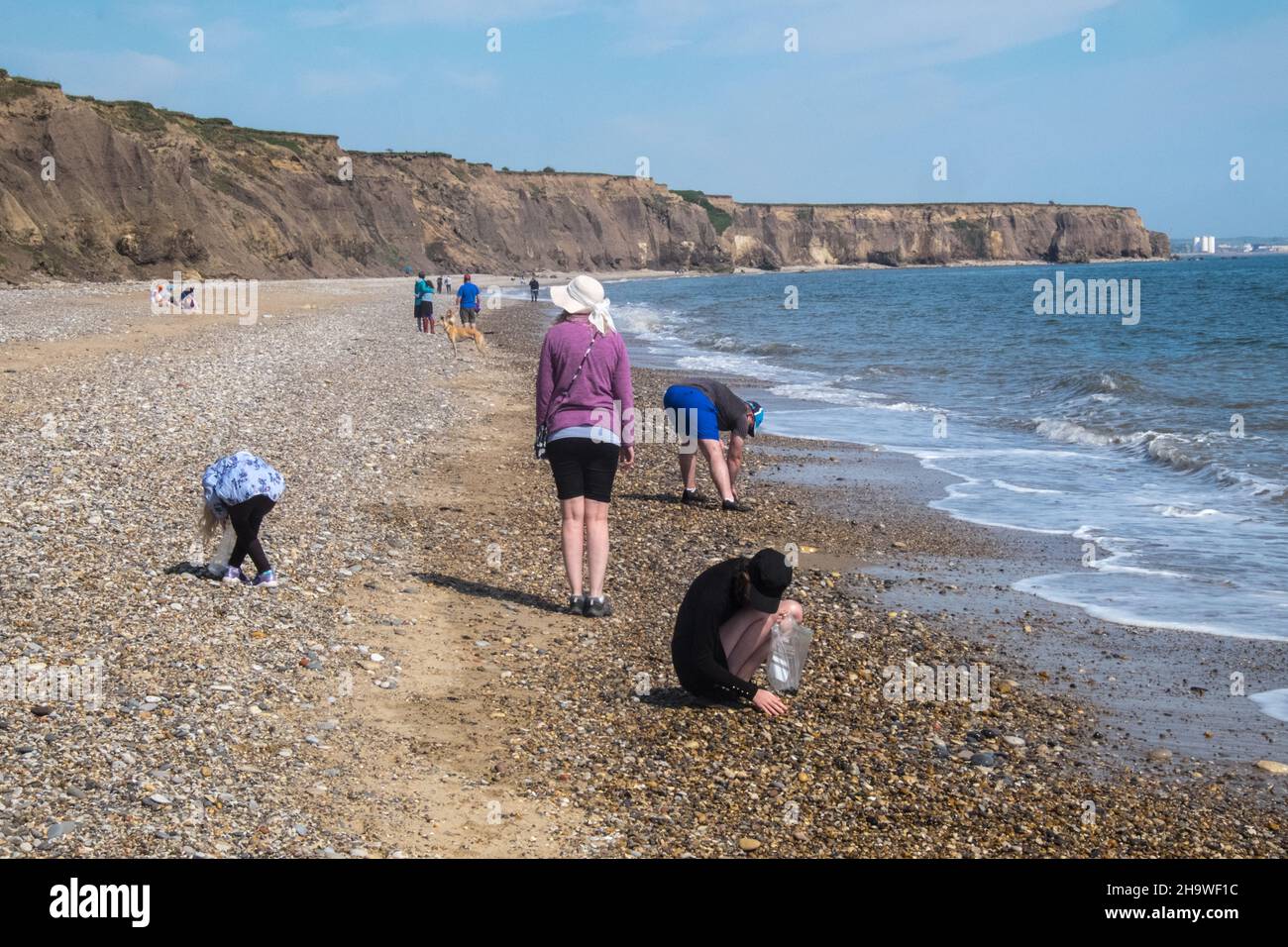 Beach combing craft hi-res stock photography and images - Alamy
