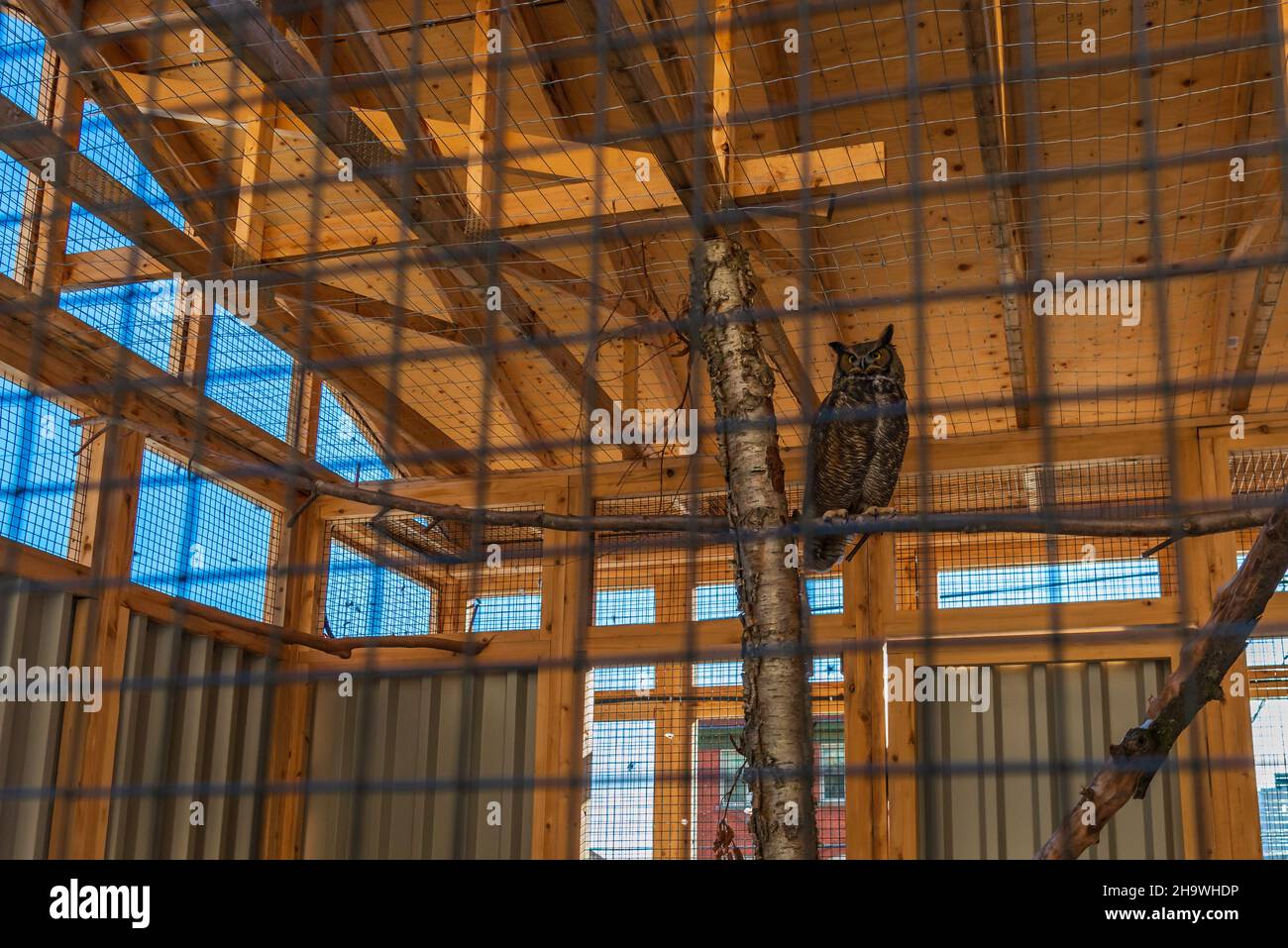 Big bird cage hi-res stock photography and images - Alamy