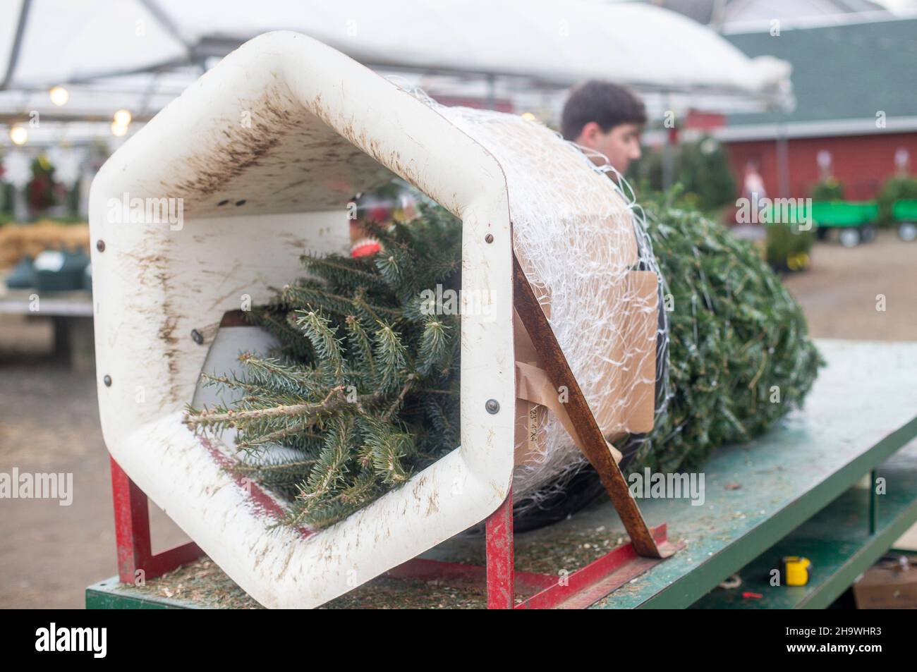 Packing of a christmas tree hi-res stock photography and images - Alamy